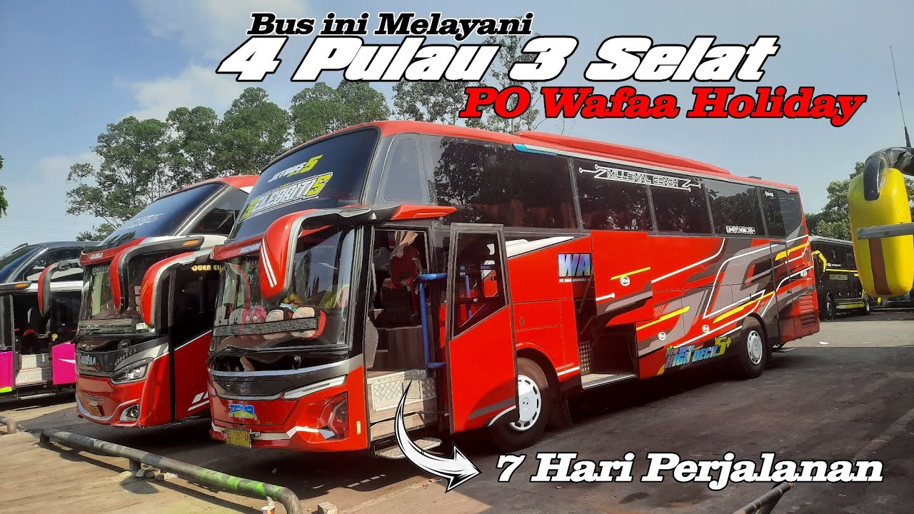 BIS RUTE JAUH ANTAR PULAU DAN ANTAR SELAT ‼️ PO WAFAA HOLIDAY ...