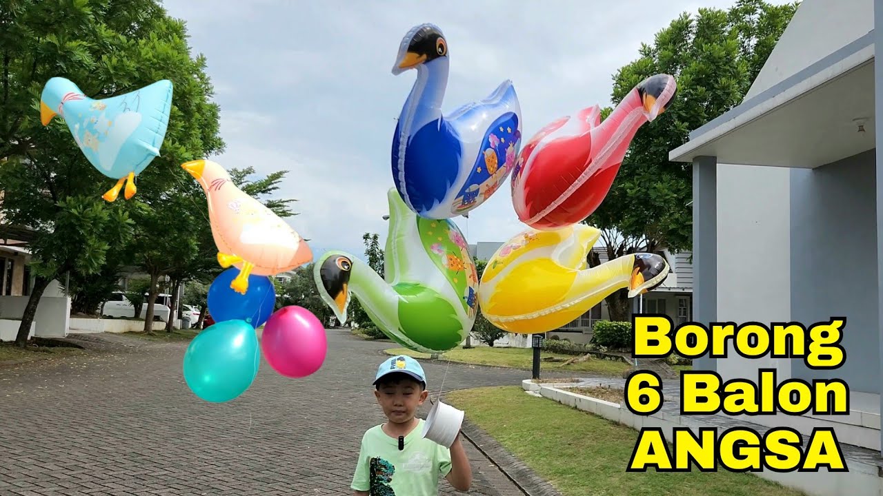 Raphael Borong 6 Balon Karakter Angsa Lucu || Balon Helium || Gas ...