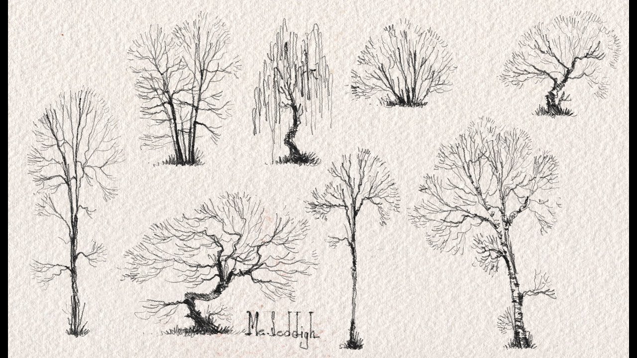 drawing trees for architectural sketches - YouTube