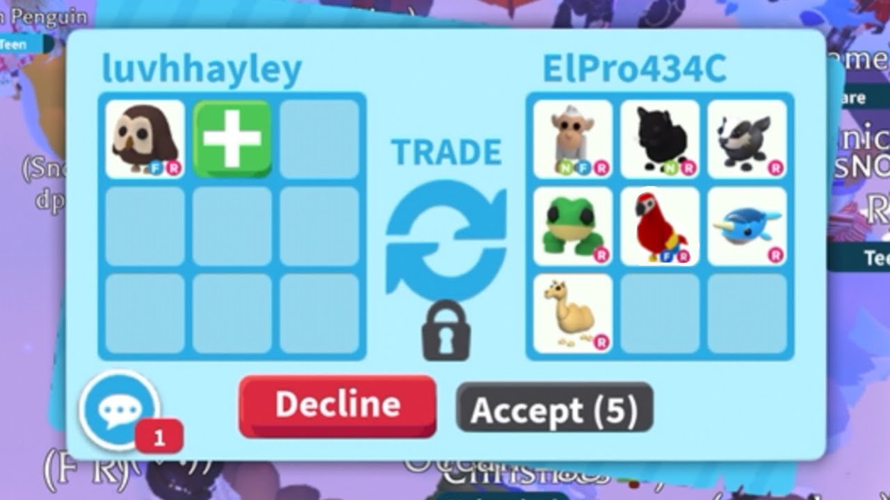 what people trade for a fr owl in adopt me! 🌈 || roblox adopt me - YouTube