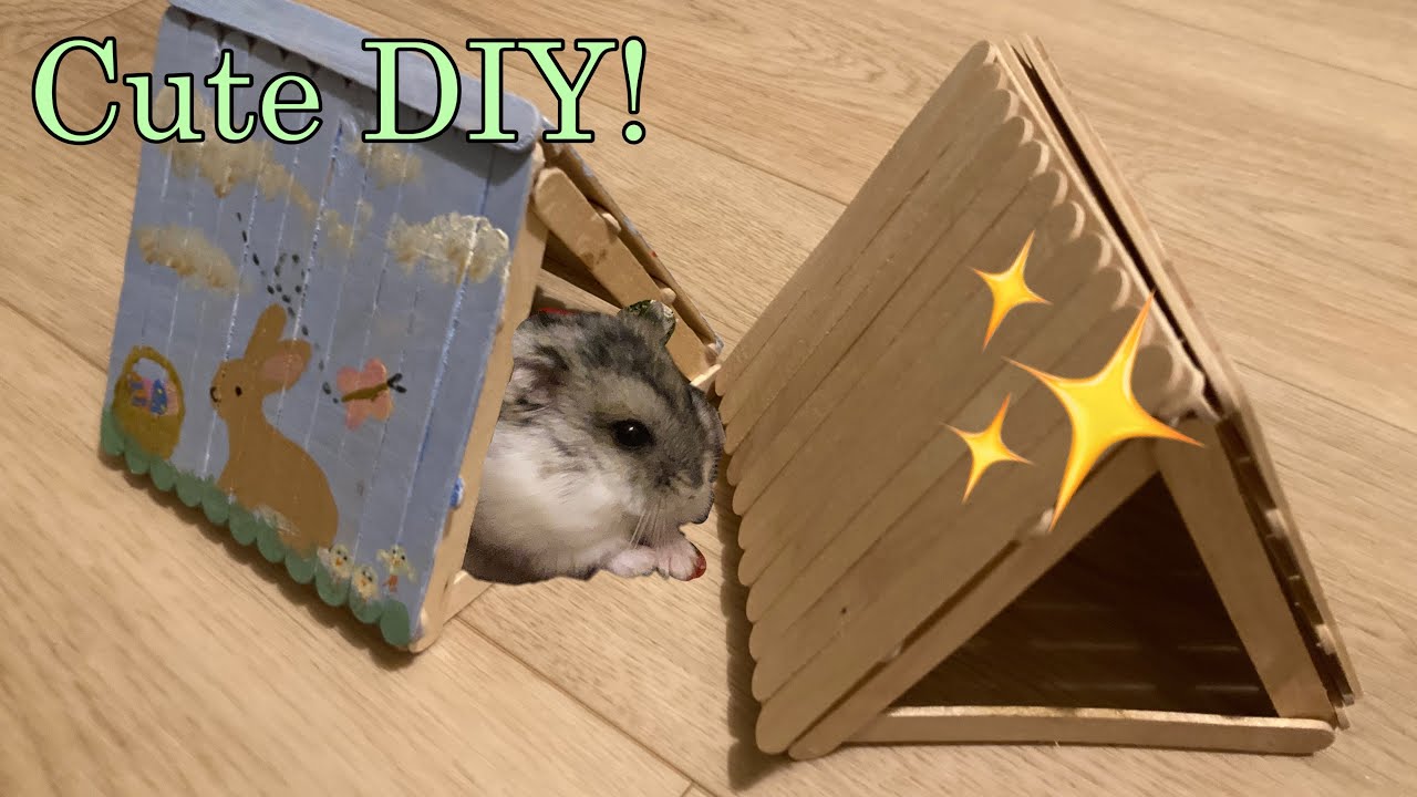 Hamster DIY: a cute hideout made out of popsicle sticks! - YouTube