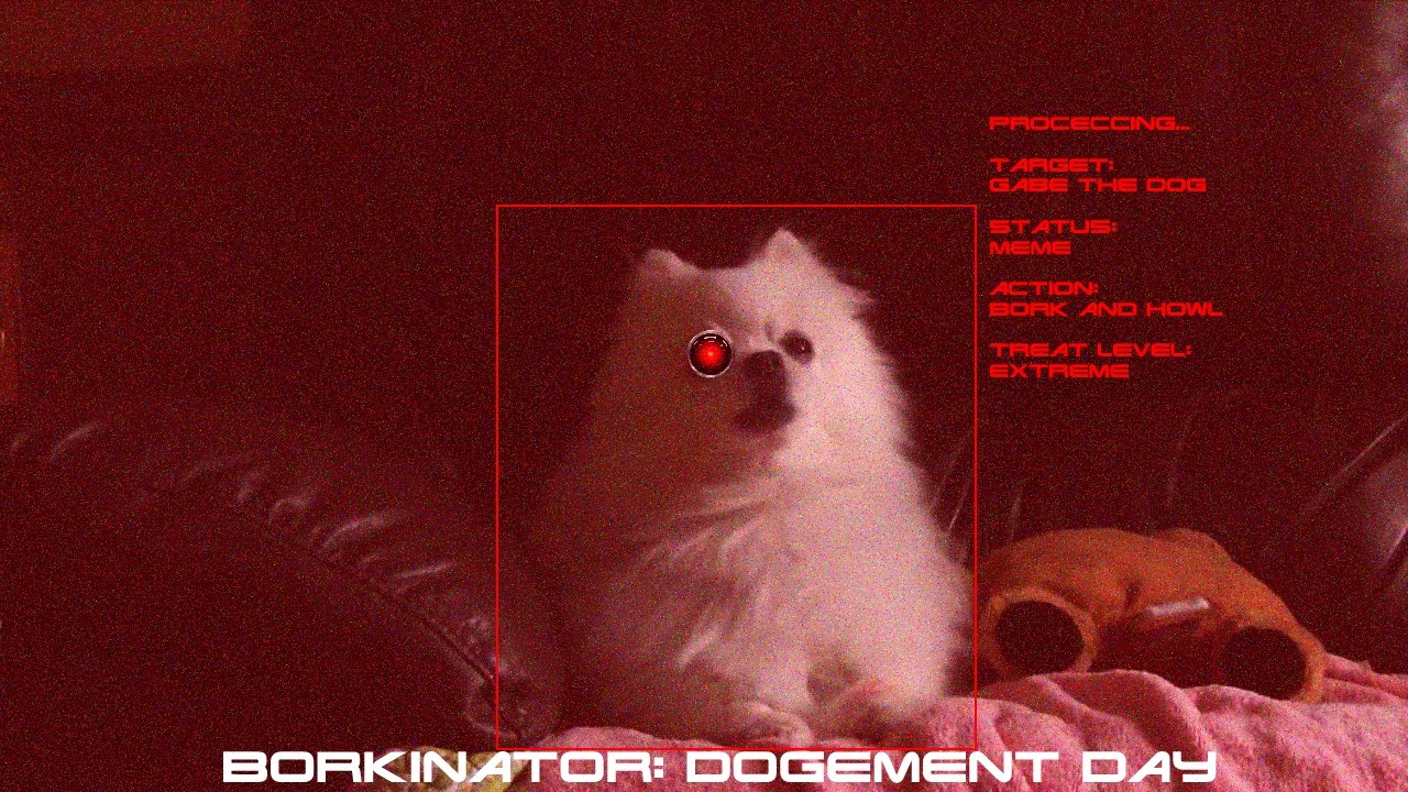 Gabe the Dog - Dogement day (Terminator) - YouTube