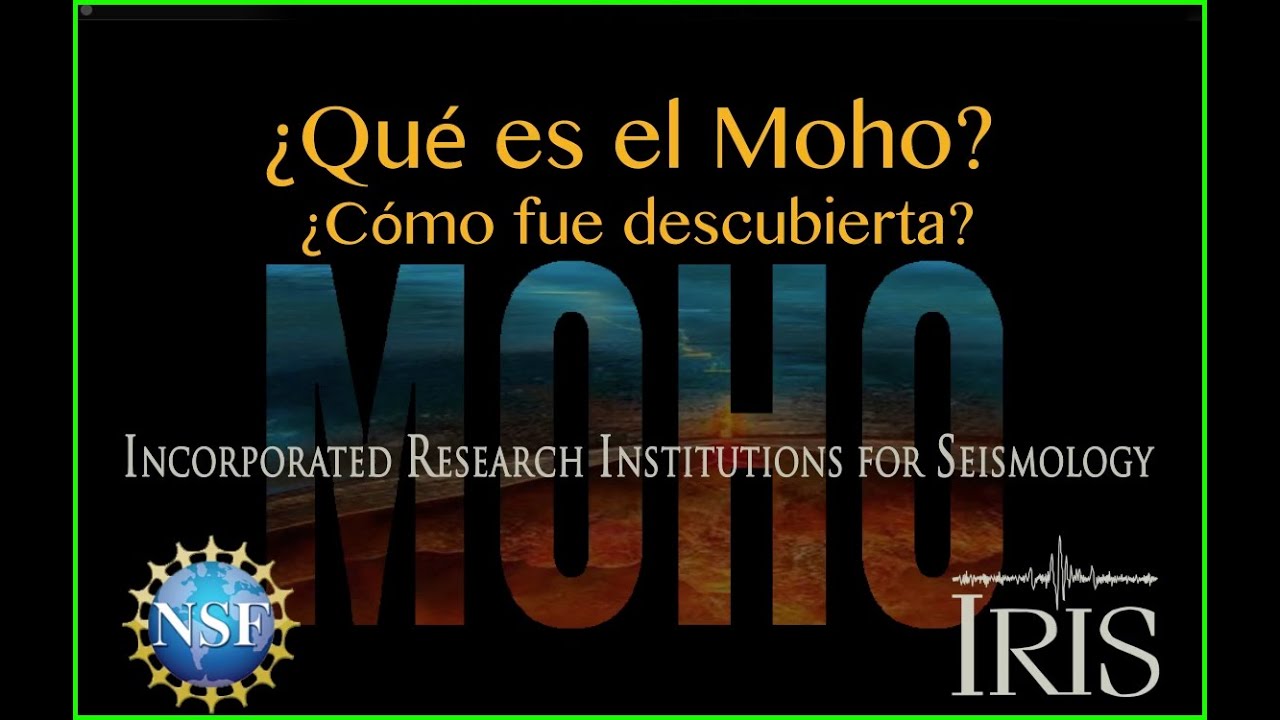 ¿Qué es el moho? ¿Cómo fue descubierto? - YouTube