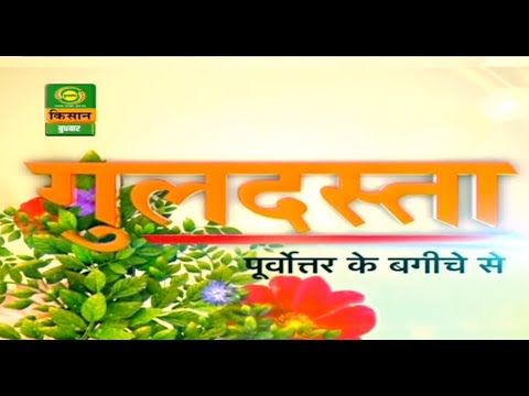 Guldasta - Indradhanush ke Rang | Part 3 - YouTube