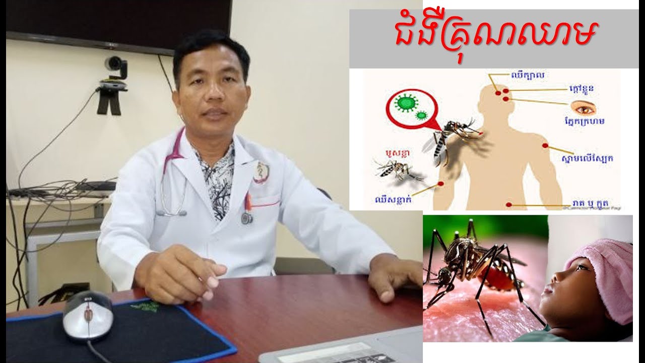 Dengue Fever, Dengue and severe dengue, break-bone fever, គ្រុនឈាម ...