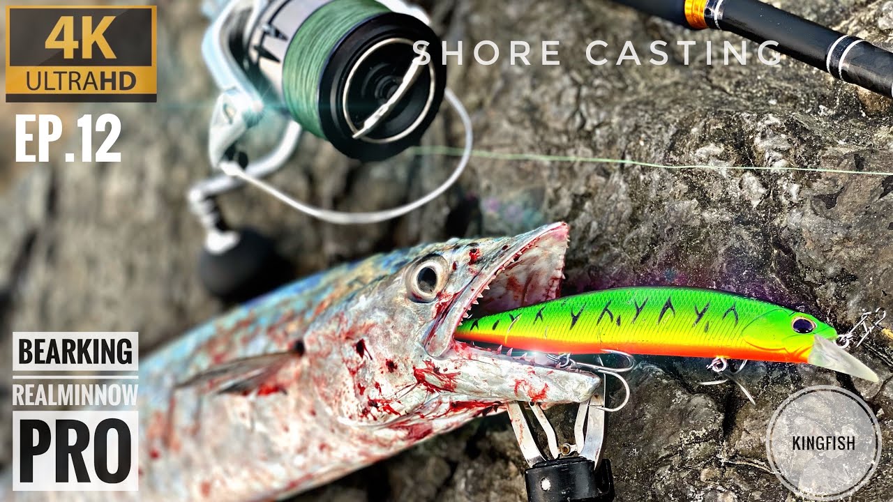 The KINGFISH cant resist this LURE. The best lure for kingfish in abu ...