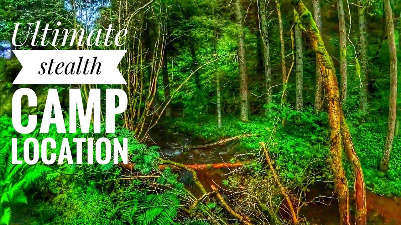 A perfect location for a stealth wild camp. Exploring a woodland for ...