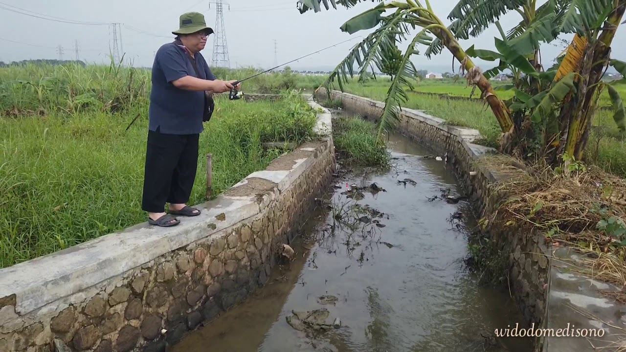 Mancing Lele - YouTube