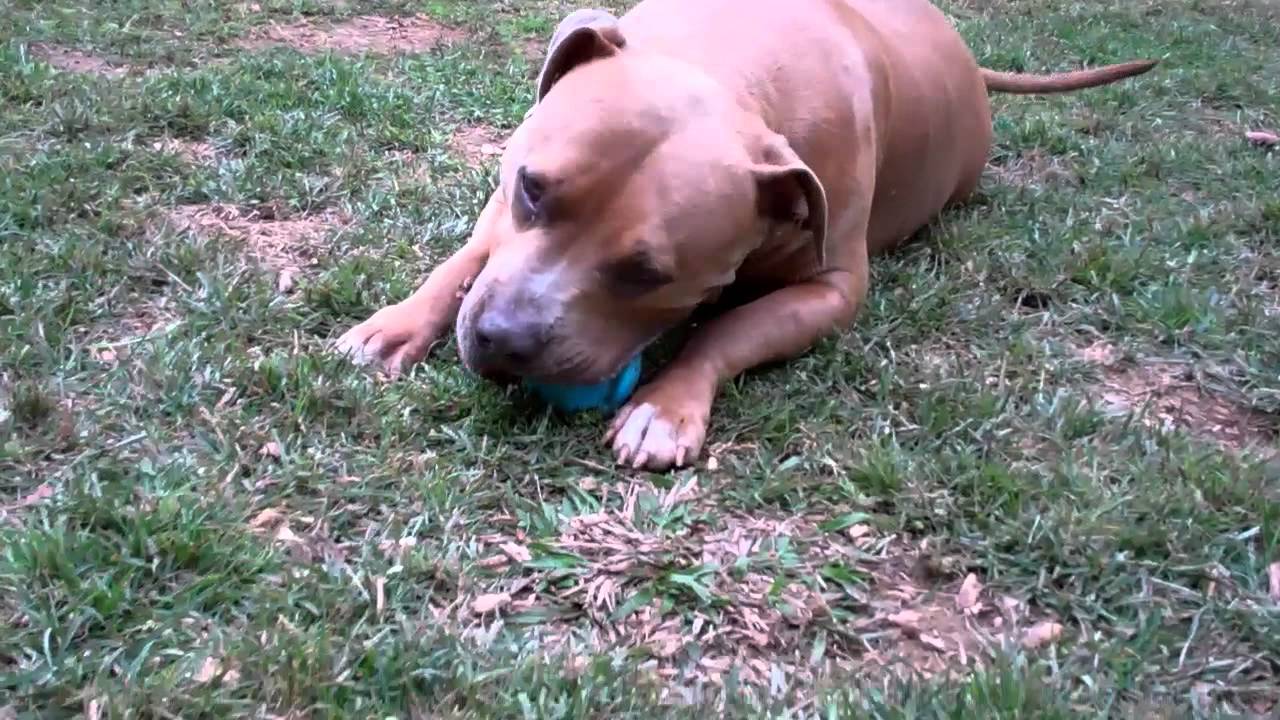 Keoki and his Huck Ball - YouTube