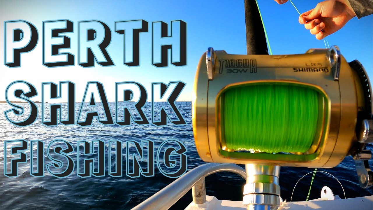 Small Boat, Big Fish | Game Fishing for Sharks in Perth Waters - YouTube
