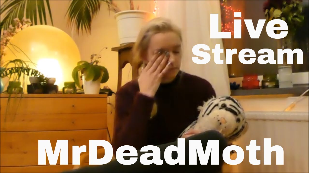 MrDeadMoth Live Streaming Domestic Abuse - YouTube
