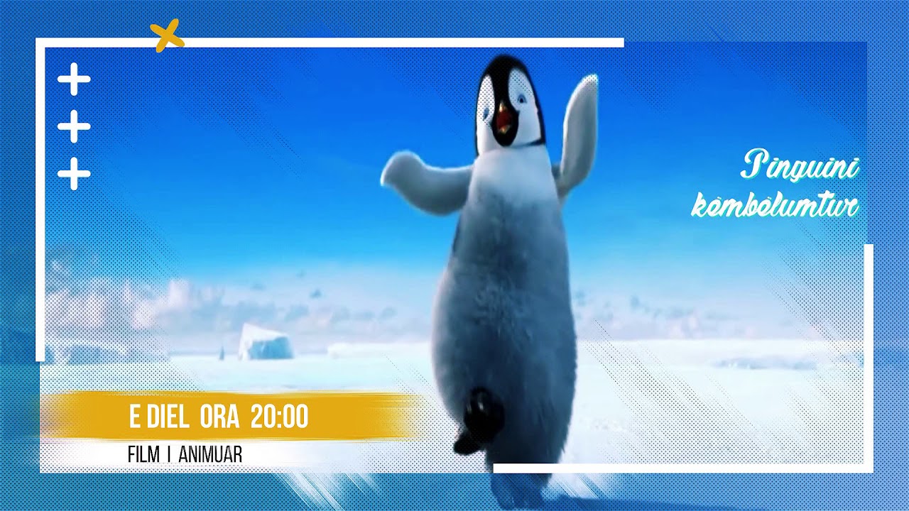 PINGUINI KEMBELUMTUR_NE RTSH FEMIJE - YouTube