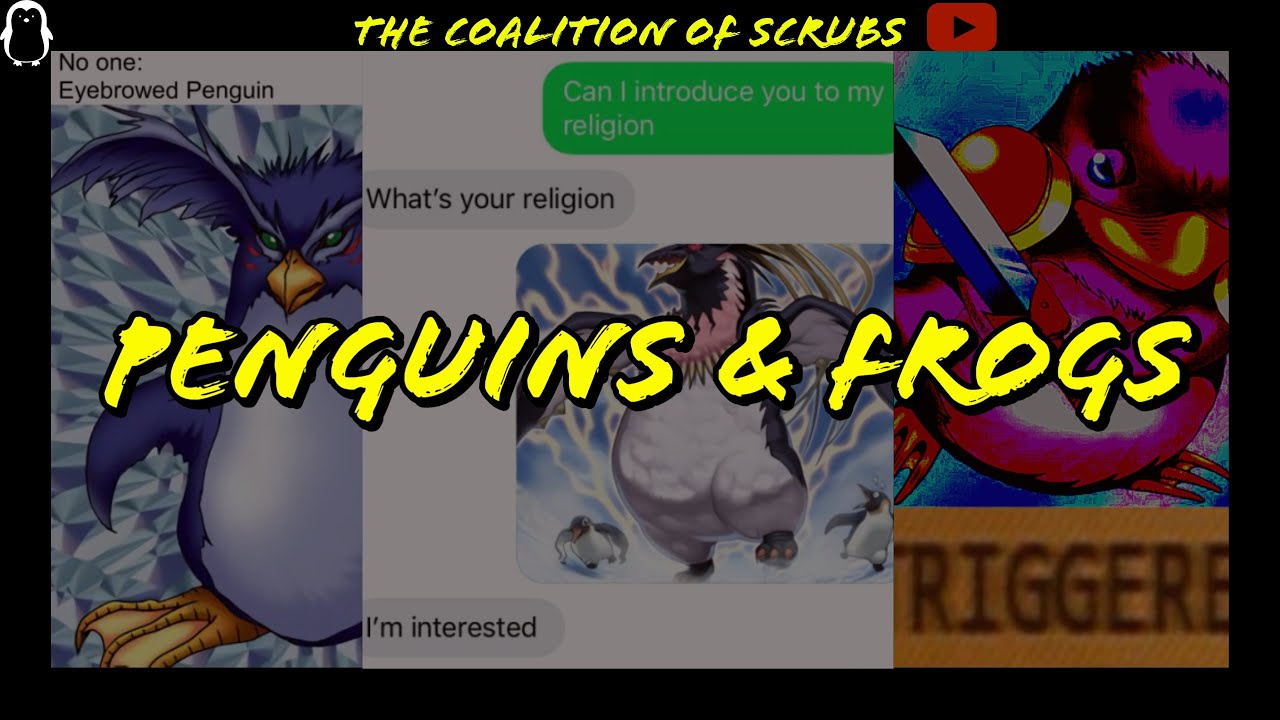 Penguins and Frogs - YouTube