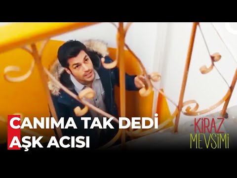 Ayaz'ın Deli Divane Halleri - Kiraz Mevsimi Özel Sahneler