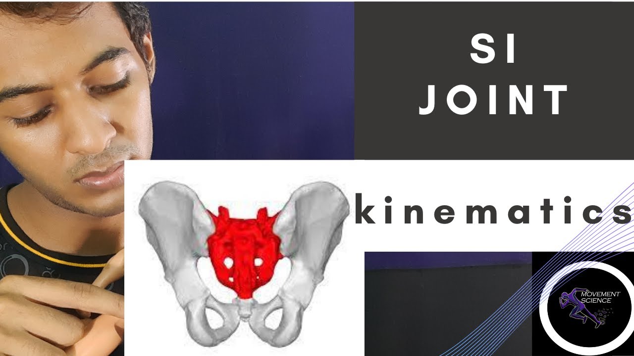 SI JOINT KINEMATICS(BIOMECHANICS OF SPINE)Physiotherapy Tutorial - YouTube