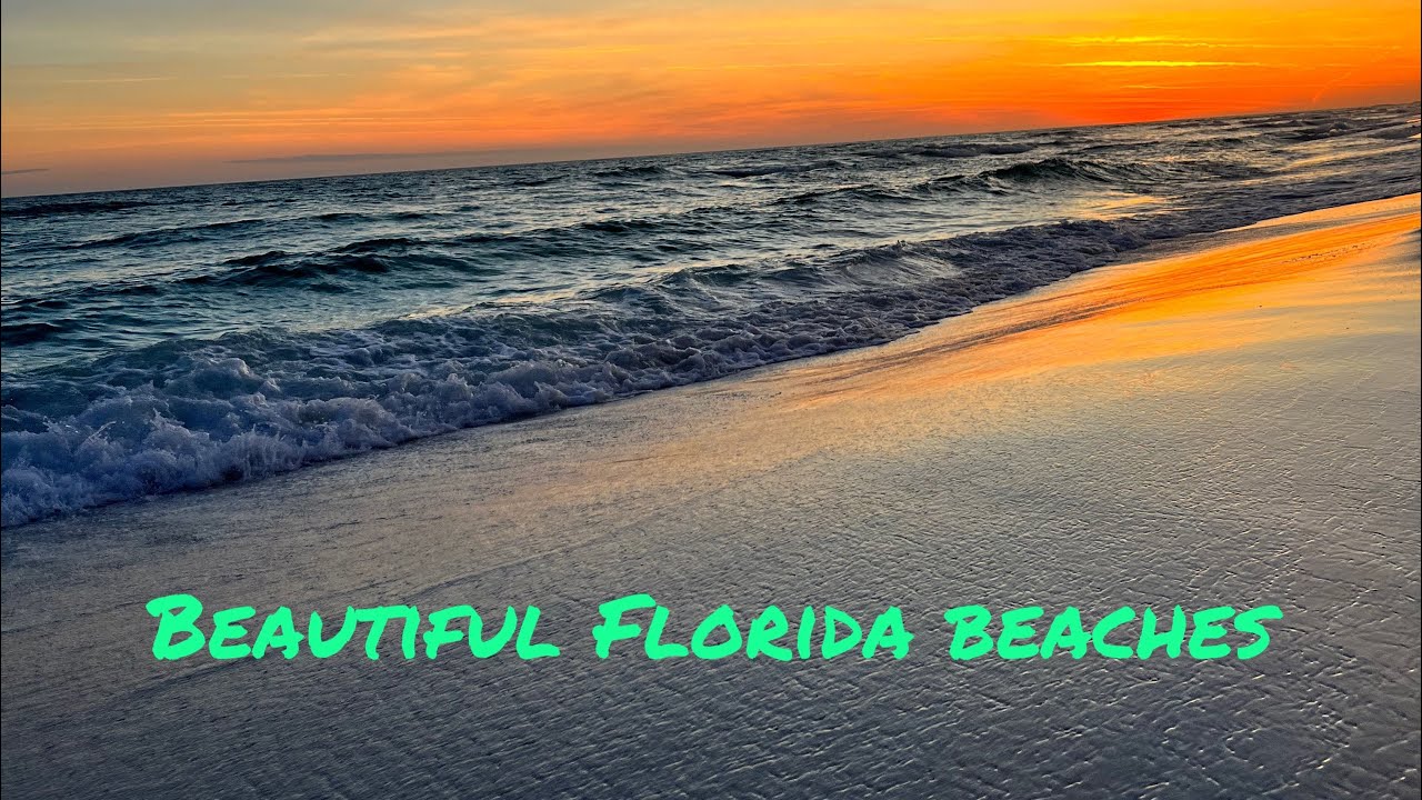 Live @Florida beach - YouTube