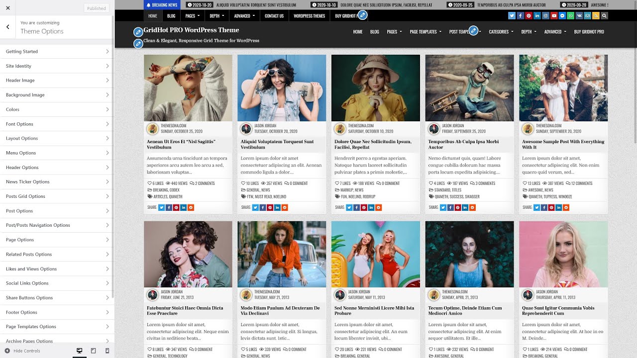 Customizer Theme Options - GridHot PRO WordPress Theme - YouTube