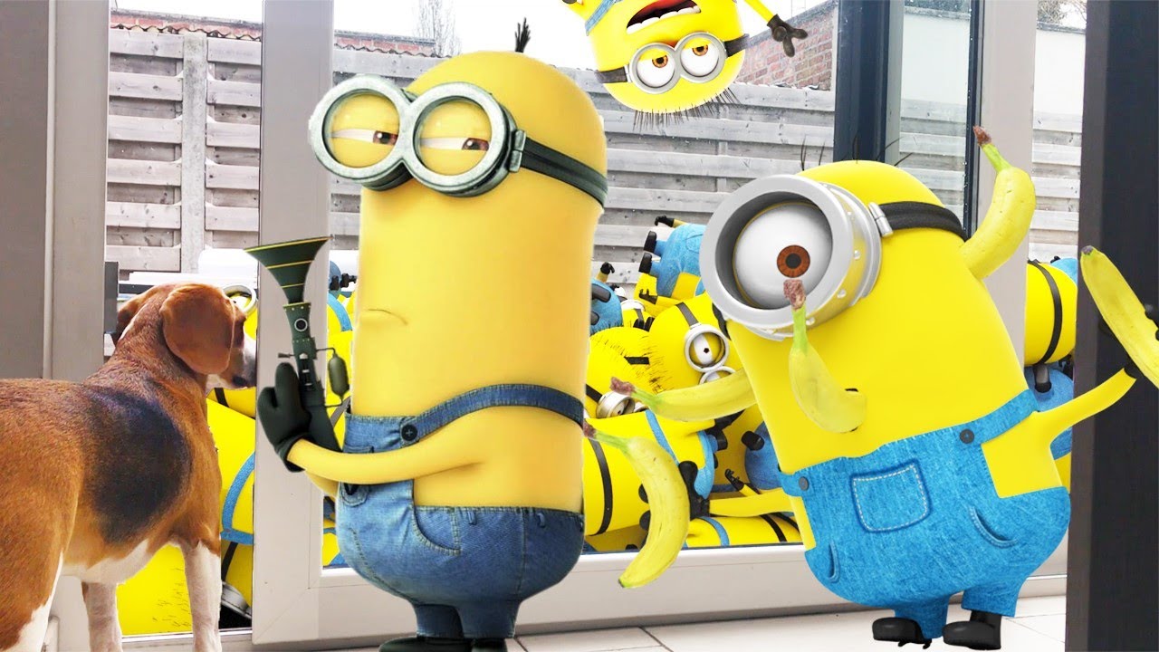 Minions Having Fun. Best Compilation Video. - YouTube