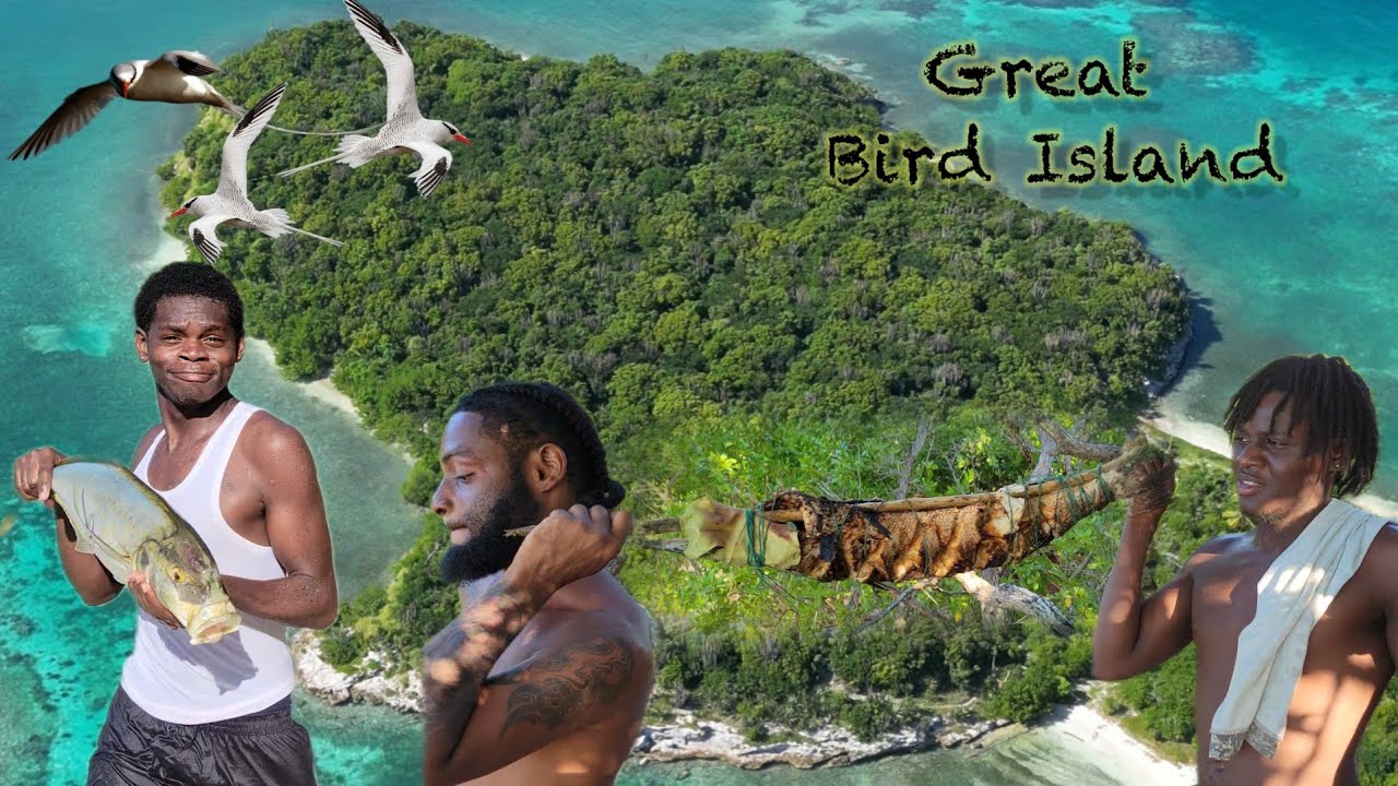 Primitive Living on Remote Island Inhabited by Creatures of Wonders ...