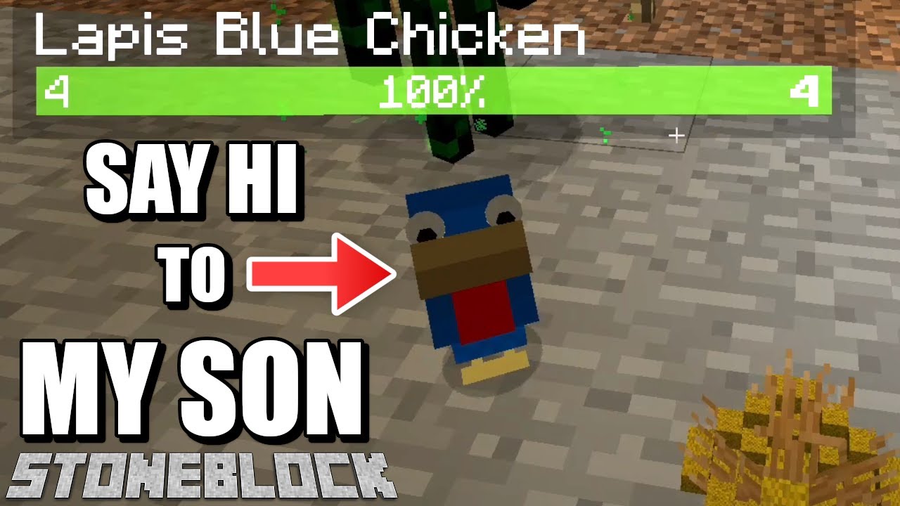 Resource Chickens and Refined Storage! - Stoneblock [Episode 07] - YouTube
