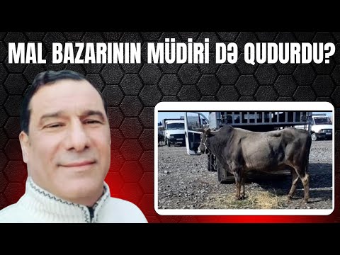 İmişlidə mal bazarının sahibi də bir neçə uşağı maşınla vurub qaçdı, yerinə bacısı oğlunu qoydu!