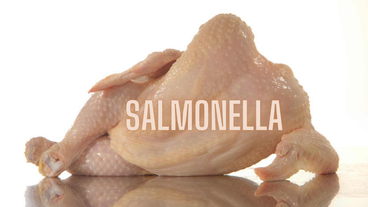 Salmonella: What It Is and How It Works! - YouTube