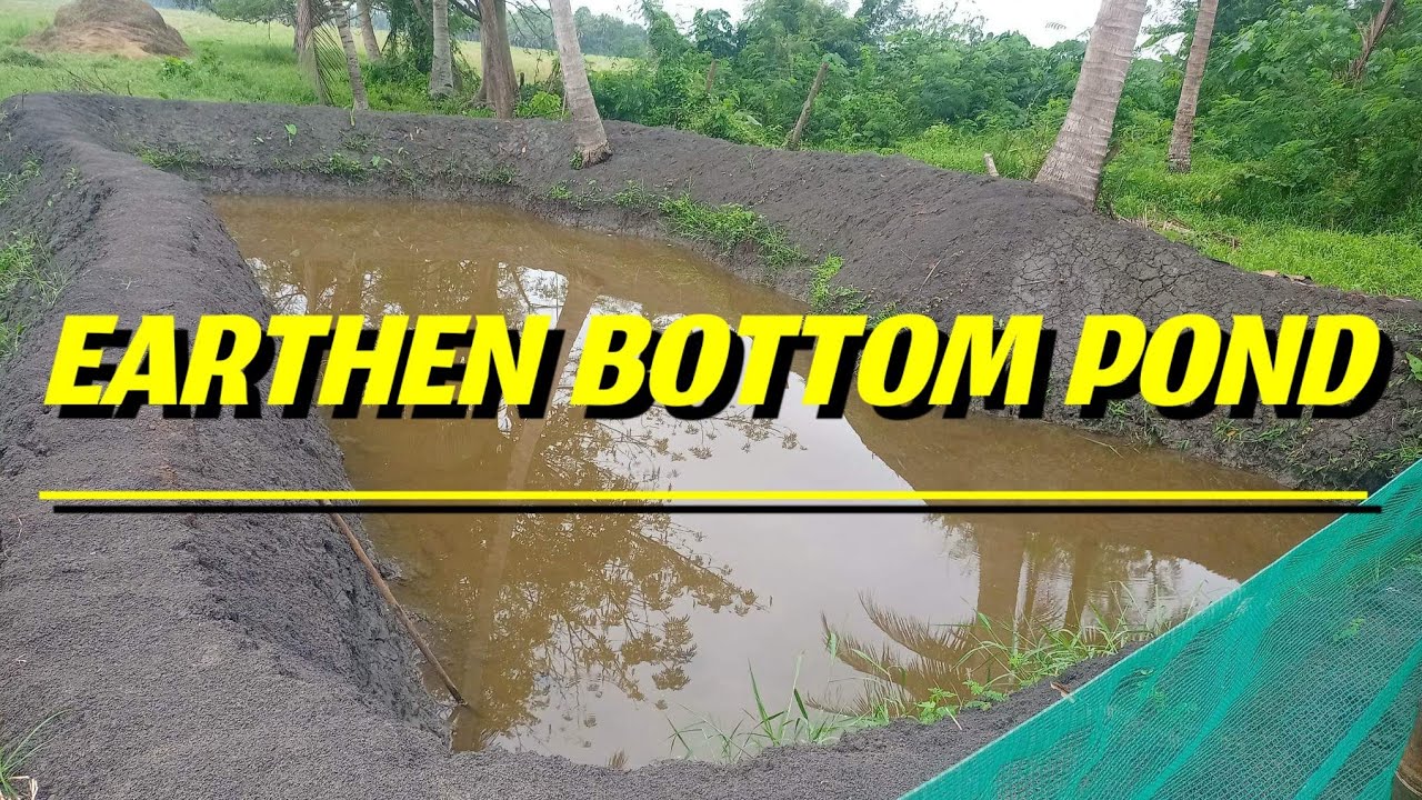 CONSTRUCTION OF EARTHEN BOTTOM PONDS #fishpond #catfishfarming #hito # ...