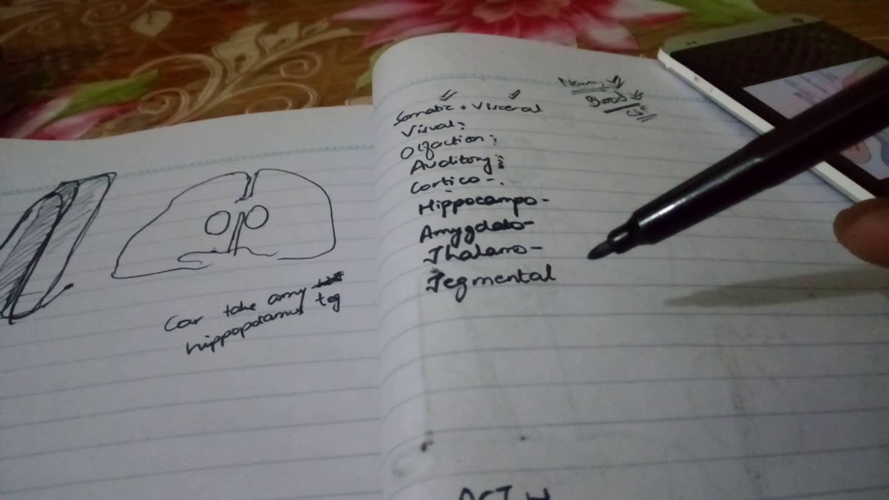 HYPOTHALAMIC CONNECTIONS with mnemonics in easiest way!part 1 - YouTube