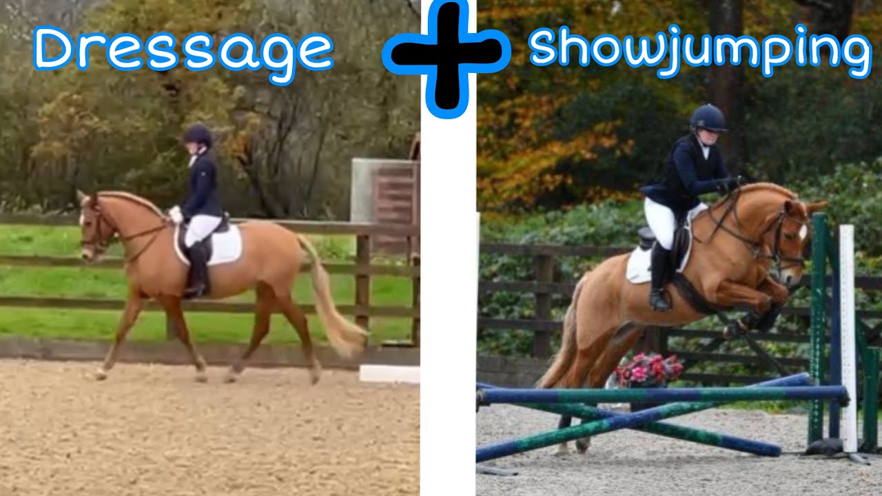 COMBINED TRAINING COMPETITION VLOG!! |Crazy ponies - YouTube