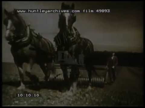 Rural East Anglia, 1940s - Film 49893 - YouTube