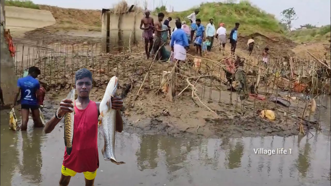 💯🤯Amazing catch fish in the dam | unbelievable fishing video 💥😇 # ...