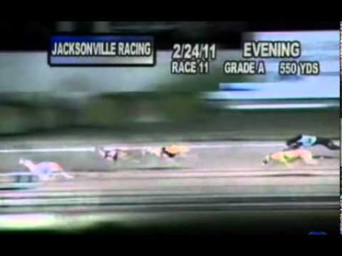 Paddy Whacker - YouTube