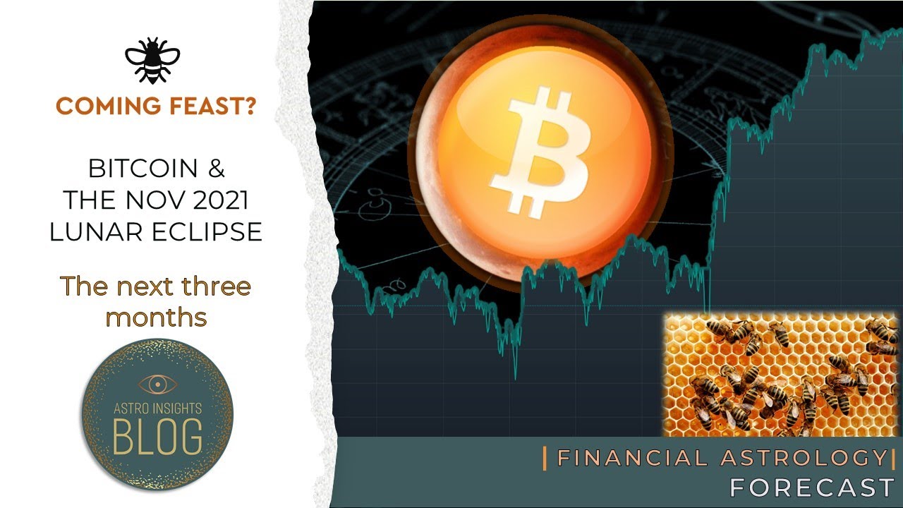 🐝 COMING FEAST? 💰 | 💹BITCOIN NOV 2021 LUNAR ECLIPSE FORECAST ...