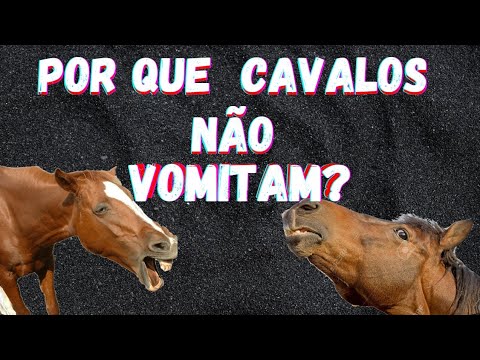Por que vomitar é importante? E quais as razões para cavalos e ratos ...