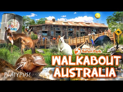 Zoo Tours: Walkabout Australia | San Diego Zoo Safari Park - YouTube
