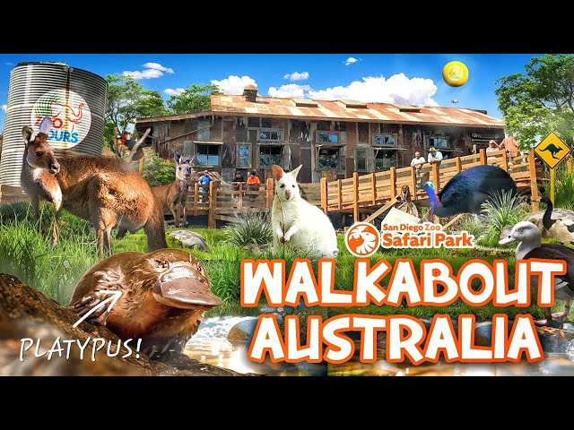 Australia Safari Animals