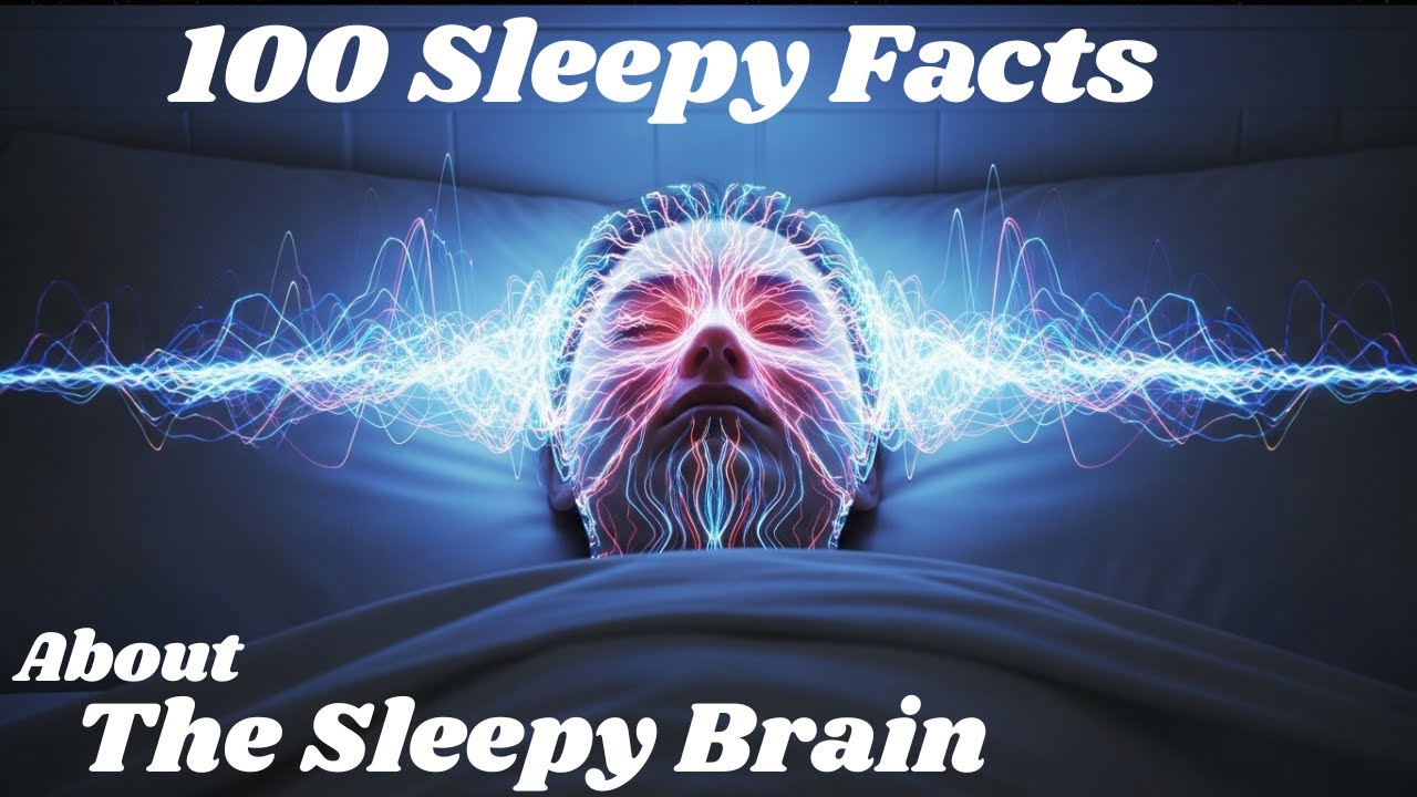 What Happens To Your Brain When You Sleep Too Long | A Meditative Sleep ...