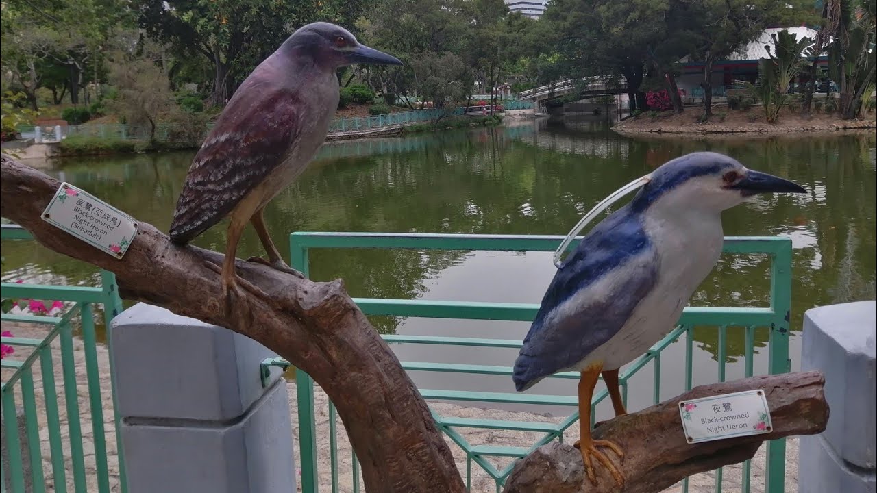 ANG HUNI NG MGA IBON - YouTube