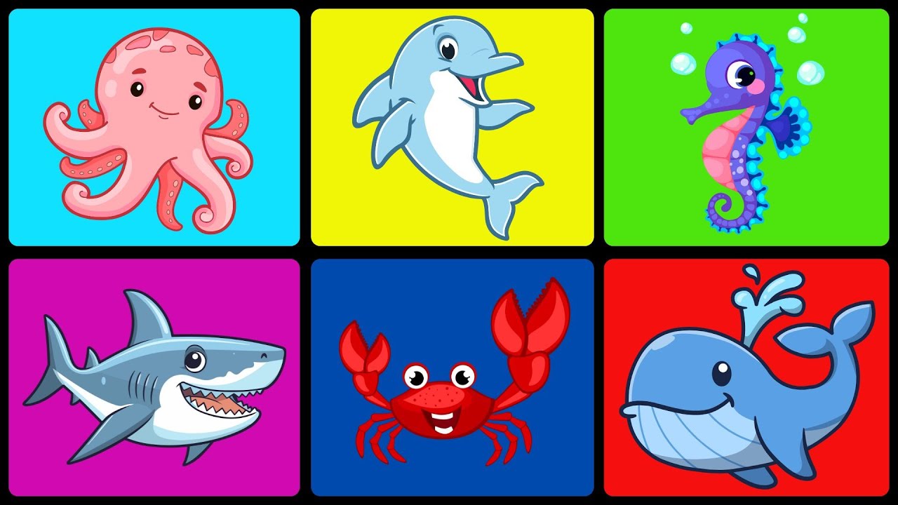 🌊🐠 ¡Explora el Océano! Conoce a los Animales Marinos Más Asombrosos 🐬🦀 ...
