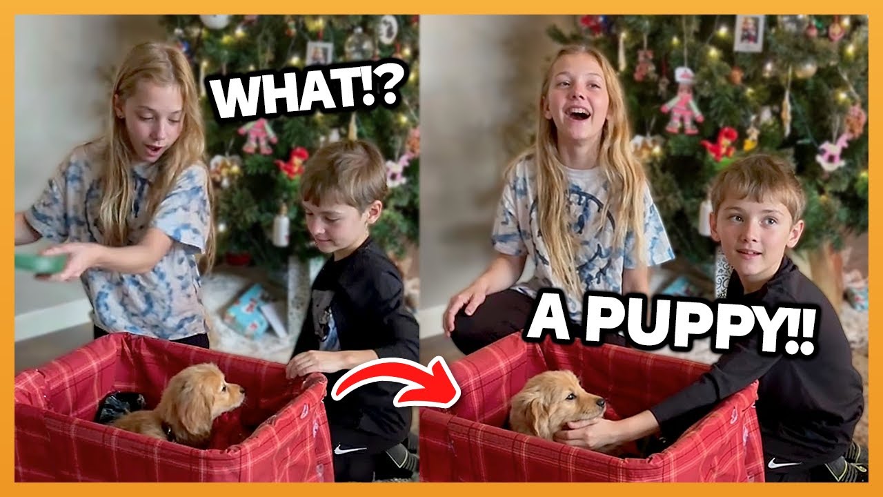 NEW PUPPY SURPRISE COMPILATION 2026 | WHOLESOME SURPRISE MOMENTS - YouTube