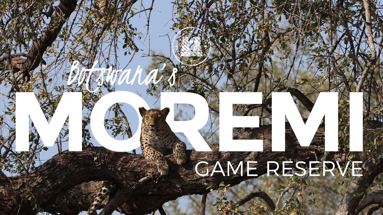 Moremi Game Reserve / 2022 - YouTube