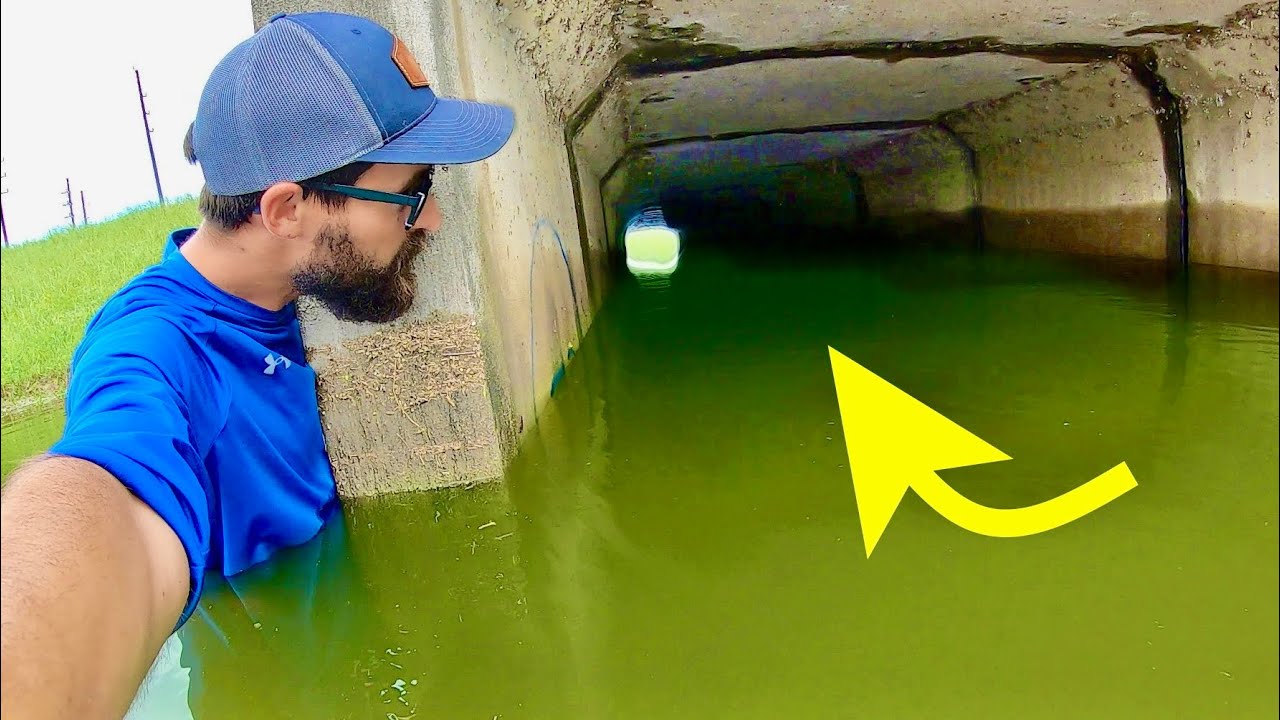 MONSTER FISH in EXTREME CITY FLOODING!!! - YouTube