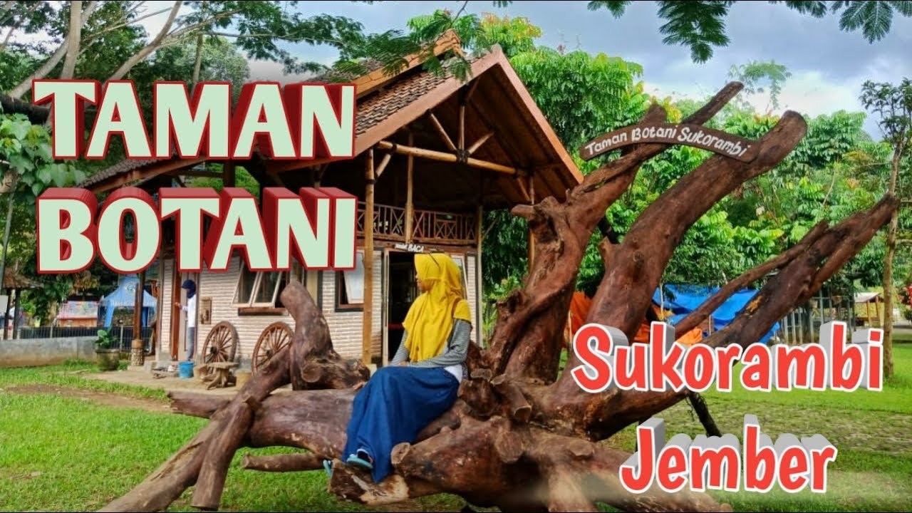 Berlibur ke TAMAN BOTANI SUKORAMBI JEMBER - YouTube