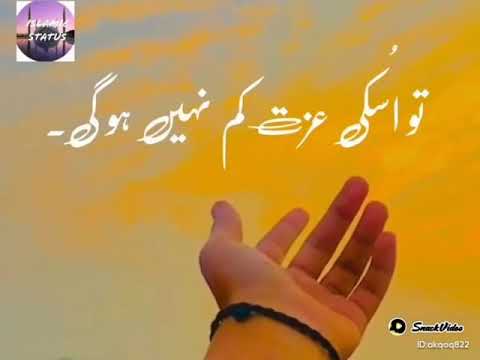Islam/ I status video #saqibrazamustafai