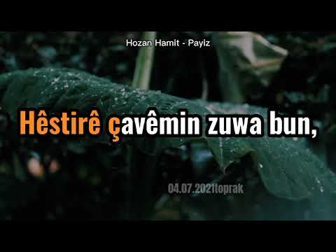 Hozan Hamit  - Payîz #hozantacettin #payız #keşfet #shorts #potpori