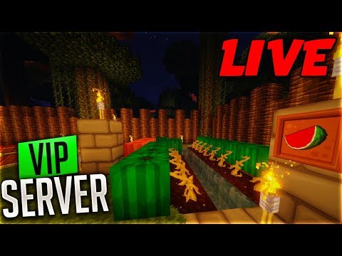 VIP MINECRAFT SERVER (Livestream) - YouTube