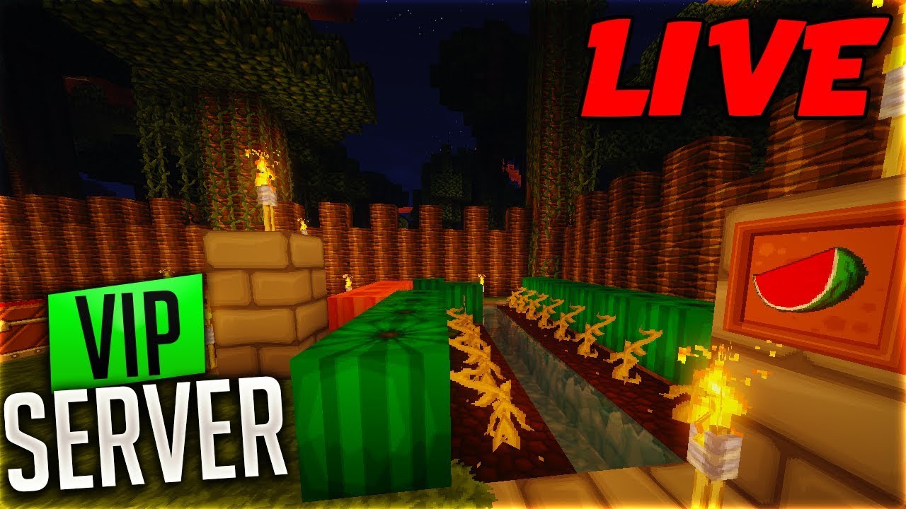 VIP MINECRAFT SERVER (Livestream) - YouTube