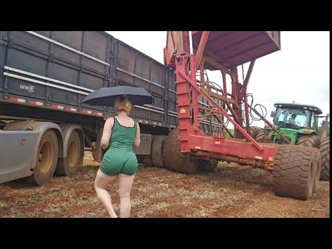 Os desafios na colheita da soja 