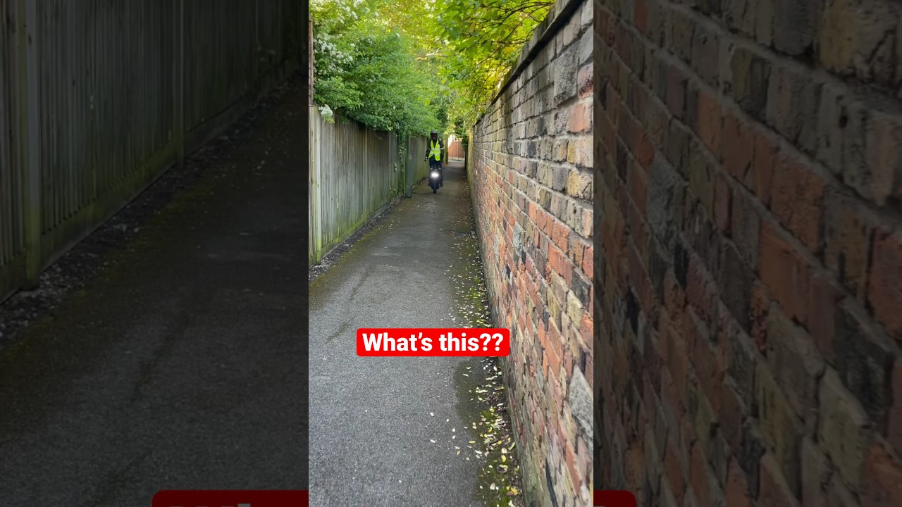 Street video - YouTube