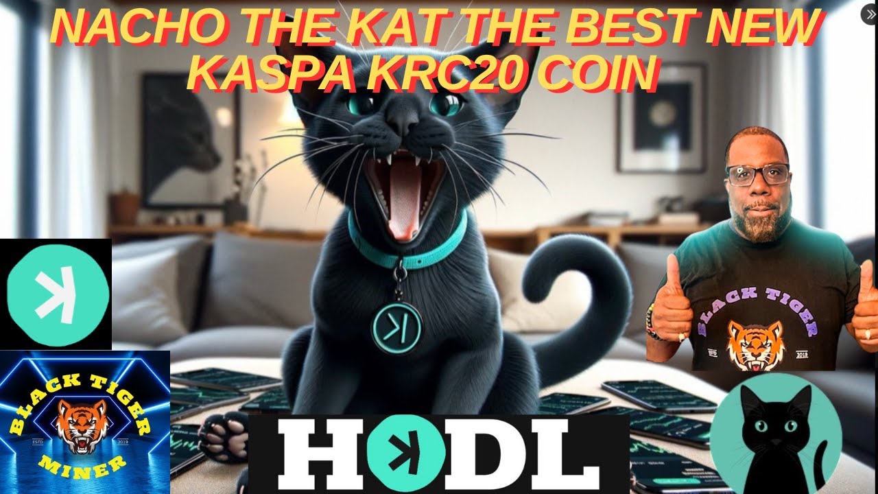 KASPA KAS Pump coming soon!! Is Nacho the Kat the best new KRC20 Token ...
